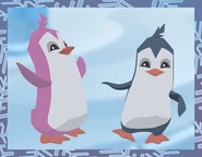 Penguin | Animal Jam Classic Wiki | Fandom