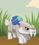 Sabertooth | Animal Jam Classic Wiki | Fandom