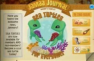Sea Turtle | Animal Jam Classic Wiki | Fandom
