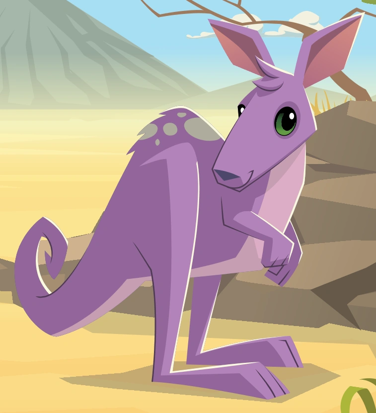 Kangaroo | Animal Jam Classic Wiki | Fandom