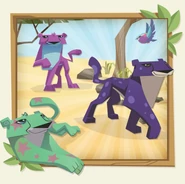 Cheetah | Animal Jam Classic Wiki | Fandom