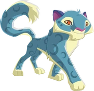 Snow Leopard | Animal Jam Classic Wiki | Fandom