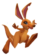 Kangaroo | Animal Jam Classic Wiki | Fandom