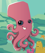 Octopus | Animal Jam Classic Wiki | Fandom