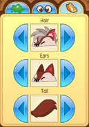 Pet Coyote | Animal Jam Classic Wiki | Fandom