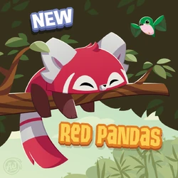 how to draw a red panda from animal jam