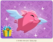 Pet Flying Pig | Animal Jam Classic Wiki | Fandom