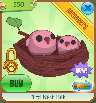 Bird Nest Hat | Animal Jam Classic Wiki | Fandom