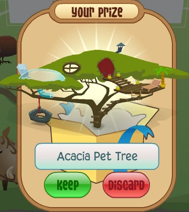 Acacia Pet Tree | Animal Jam Classic Wiki | Fandom