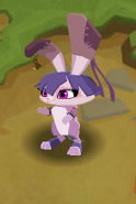 Peck | Animal Jam Classic Wiki | Fandom