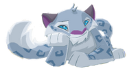 Snow Leopard | Animal Jam Classic Wiki | Fandom