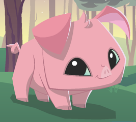 Pig | Animal Jam Classic Wiki | Fandom