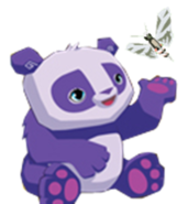 Panda | Animal Jam Classic Wiki | Fandom