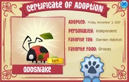 Pet Ladybug | Animal Jam Classic Wiki | Fandom