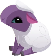 Sheep | Animal Jam Classic Wiki | Fandom