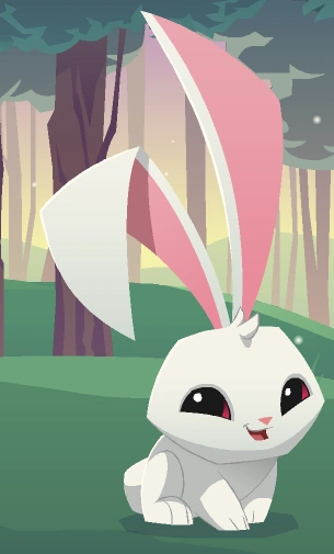 Bunny | Animal Jam Classic Wiki | Fandom