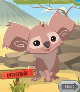 Koala | Animal Jam Classic Wiki | Fandom