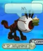 Chat | Animal Jam Classic Wiki | Fandom