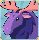Moose | Animal Jam Classic Wiki | Fandom