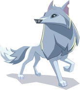 Arctic Wolf | Animal Jam Classic Wiki | Fandom