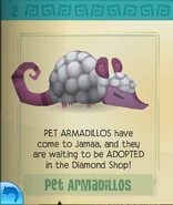 Pet Armadillo | Animal Jam Classic Wiki | Fandom