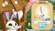 Spring Bunny Bundle | Animal Jam Classic Wiki | Fandom