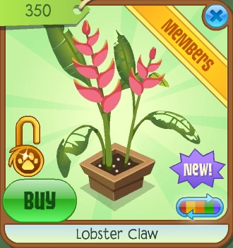 Lobster Claw | Animal Jam Classic Wiki | Fandom