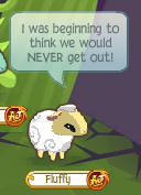 Sheep | Animal Jam Classic Wiki | Fandom