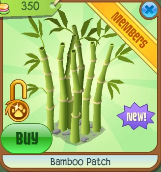Bamboo Patch | Animal Jam Classic Wiki | Fandom