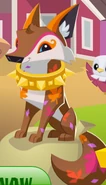 Autumn Coyote | Animal Jam Classic Wiki | Fandom