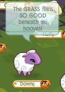 Sheep | Animal Jam Classic Wiki | Fandom