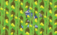 Meet Cosmo | Animal Jam Classic Wiki | Fandom