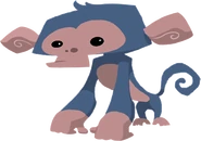 Monkey | Animal Jam Classic Wiki | Fandom