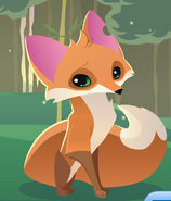 Fox | Animal Jam Classic Wiki | Fandom