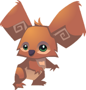 Koala | Animal Jam Classic Wiki | Fandom