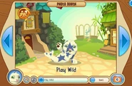 Seal | Animal Jam Classic Wiki | Fandom