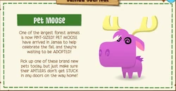 Pet Moose