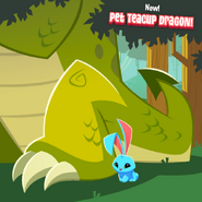 The Daily Explorer | Animal Jam Classic Wiki | Fandom