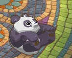 Panda | Animal Jam Classic Wiki | Fandom