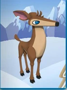 Deer | Animal Jam Classic Wiki | Fandom