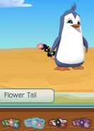 Flower Tail | Animal Jam Classic Wiki | Fandom