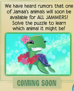 Sea Turtle | Animal Jam Classic Wiki | Fandom