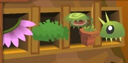 Pet Ladybug | Animal Jam Classic Wiki | Fandom