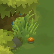 Graham's Workshop | Animal Jam Classic Wiki | Fandom