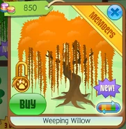 Weeping Willow | Animal Jam Classic Wiki | Fandom