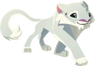 Snow Leopard | Animal Jam Classic Wiki | Fandom
