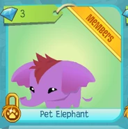 Pet Elephant | Animal Jam Classic Wiki | Fandom