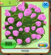 Hedge | Animal Jam Classic Wiki | Fandom