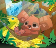 Koala | Animal Jam Classic Wiki | Fandom