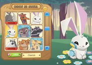 Spring Bunny | Animal Jam Classic Wiki | Fandom